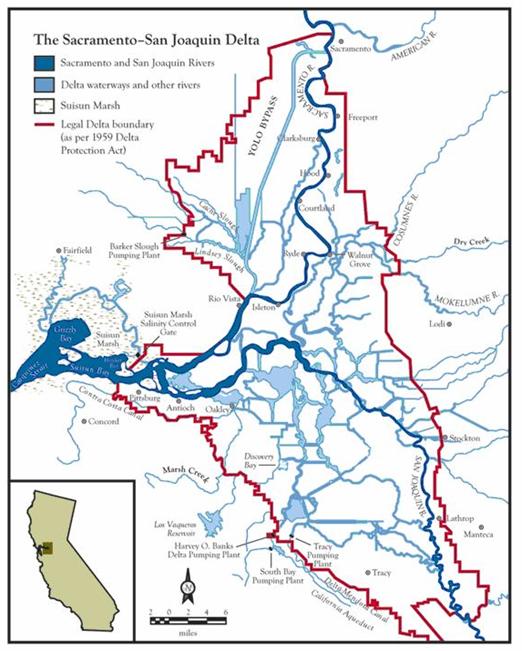 What is the California Delta? | Save the California Delta Alliance (STCDA)