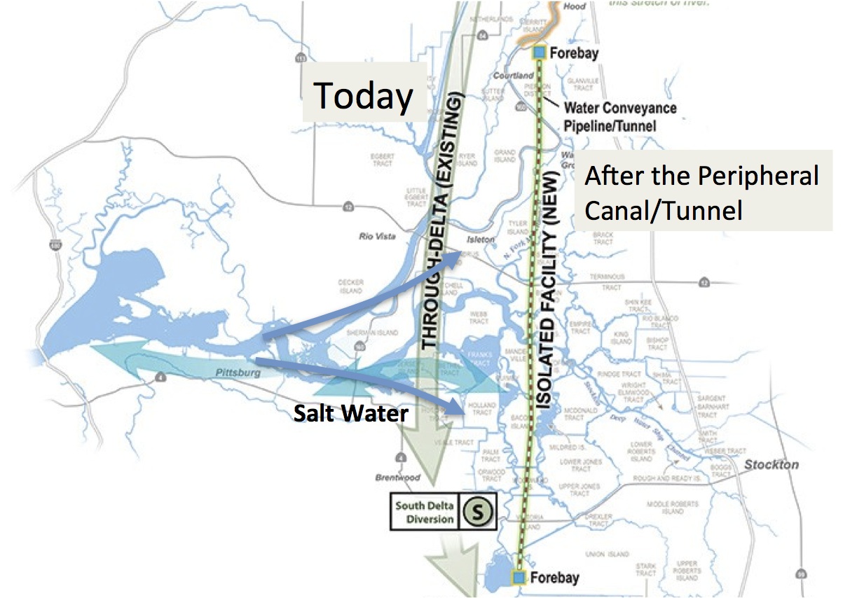 Why the Delta is in Crisis | Save the California Delta Alliance (STCDA)