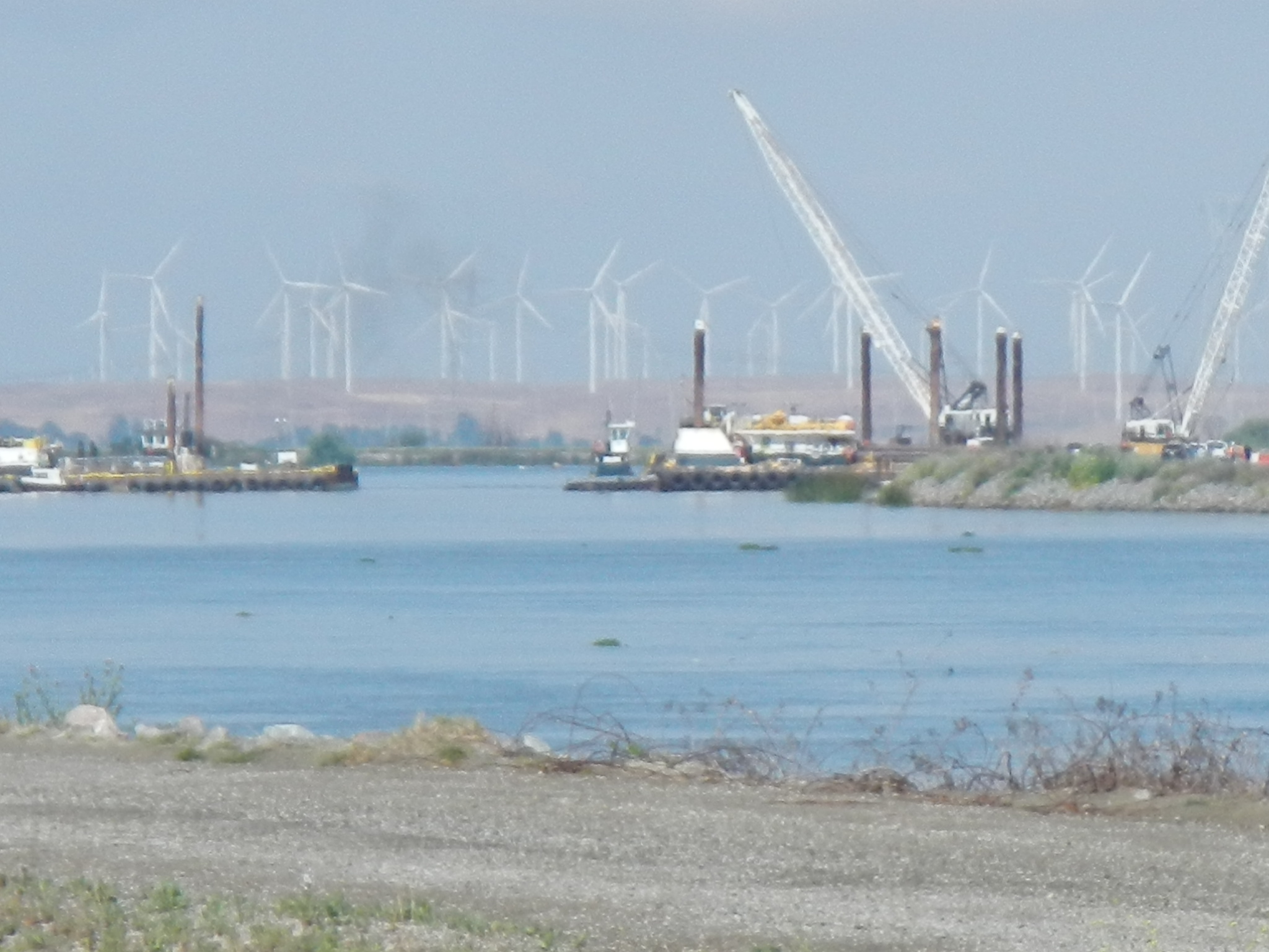 False River Dam Begins | Save the California Delta Alliance (STCDA)