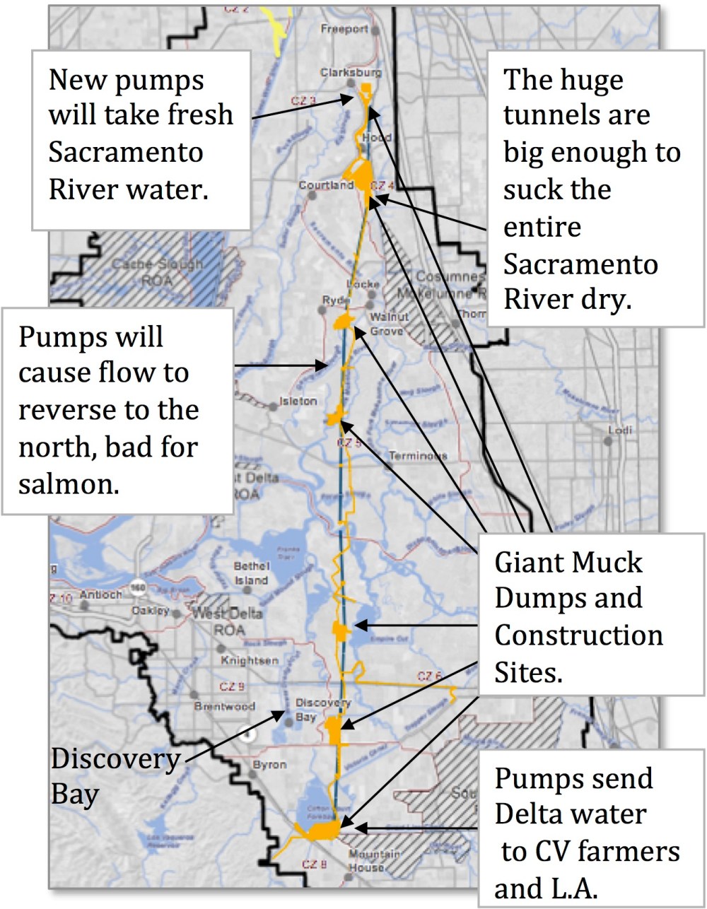 Tunnel Maps | Save the California Delta Alliance (STCDA)