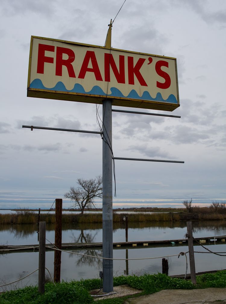 Update on the Franks Tract Project | Save the California Delta Alliance (STCDA)